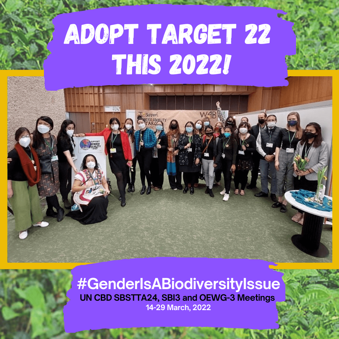 Parties support gender equality target in the post-2020 global ...