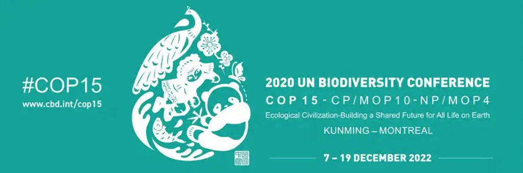 UNCBD Women’s Caucus ROAD TO CBD COP 15: Webinar on Cartagena & Nagoya ...