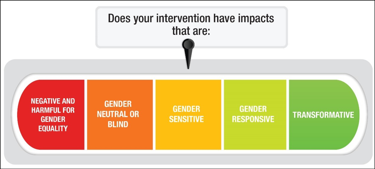 Women’s policy briefs for a gender-responsive biodiversity framework ...