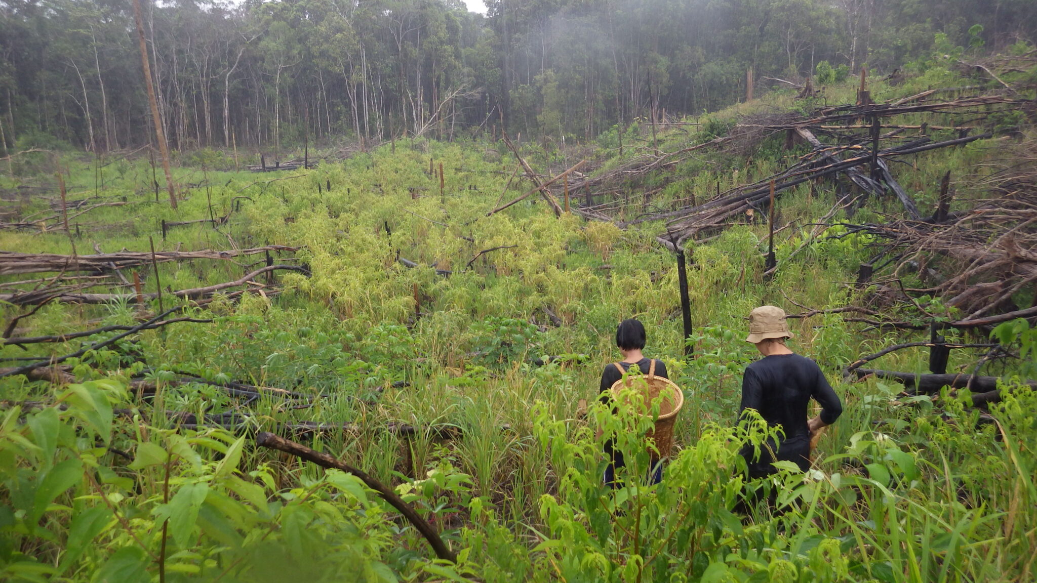 Women Farmers in Tropical Forests Building Community Resilience: A ...
