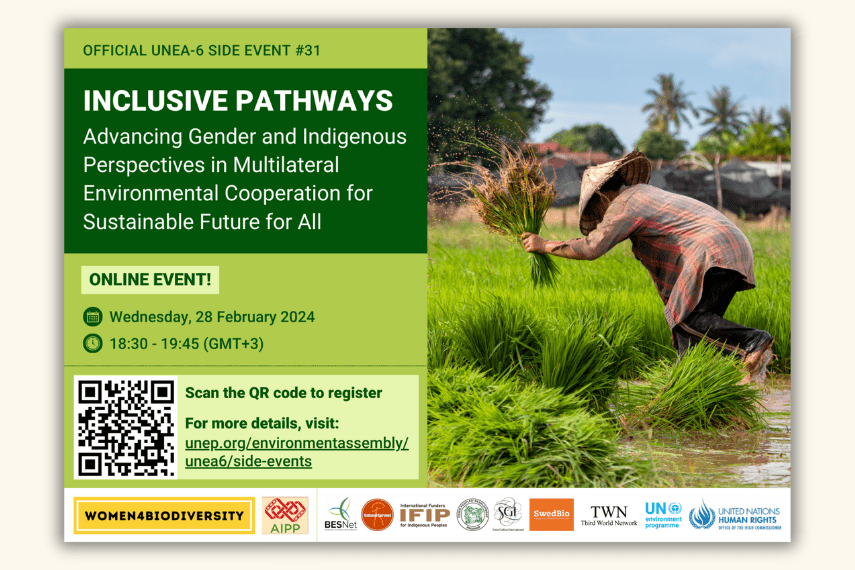 Official UNEA 6 Online Side Event: Inclusive Pathways: Advancing Gender ...