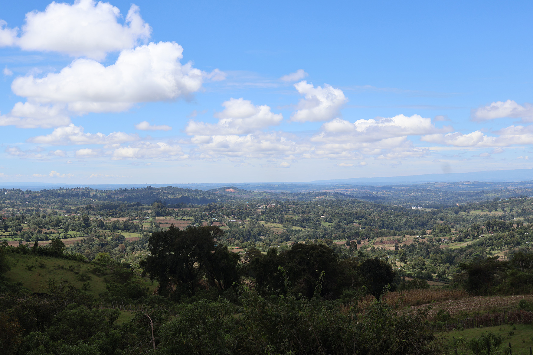 Target 15 – Women4Biodiversity