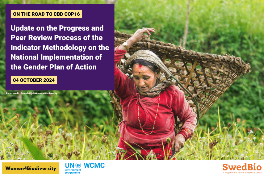 [ENG, FR, ES] INFORMATION SESSIONS: Update on the progress and peer ...