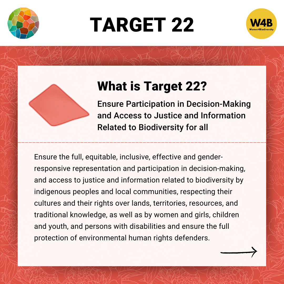 KM-GBF Targets Explainers – Women4Biodiversity